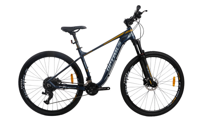 Bicicleta MTB Optimus SAGITTA 12 Vel - 2021 – Bicicletas de montaña ...
